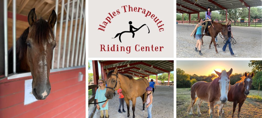 Naples Therapeutic Riding Center - Soukup Strategic Solutions